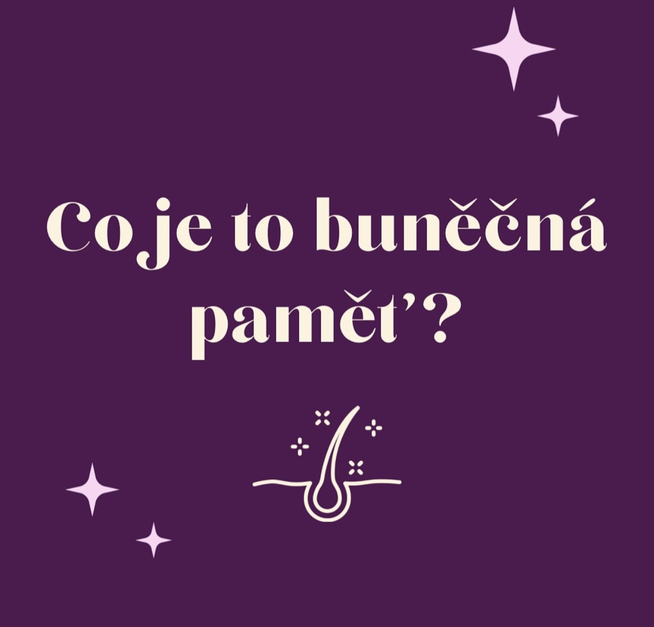 Co je buněčná pamět ? - FITMY s.r.o.